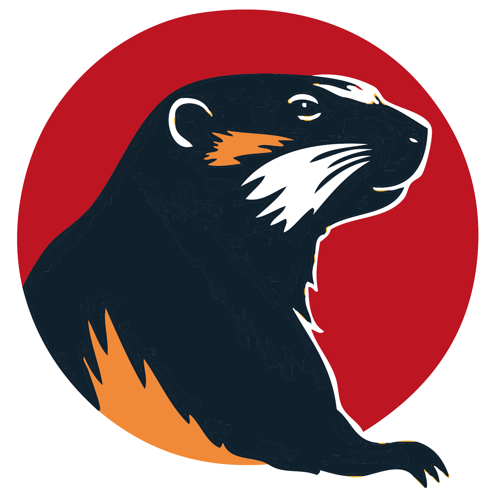 Helvethink - Formations